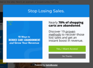 Tried and Tested eCommerce Lead Generation Strategies
