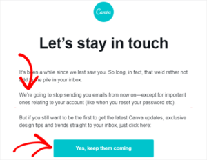 Win-Back Email Examples: Get Lost Customers Buying Again