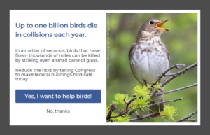How American Bird Conservancy Increased Lead Collection by More Than 1,000%