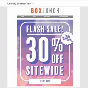 What Is a Flash Sale? Plan & Promote Your Limited-Time Deals