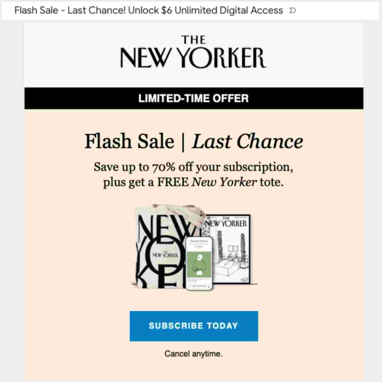 What Is a Flash Sale? Plan & Promote Your Limited-Time Deals