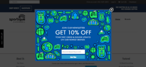 eCommerce Popups: 11 Examples & Templates to Boost Sales