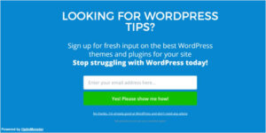 What Is a Splash Page & How to Create One? (+14 Examples) - OptinMonster