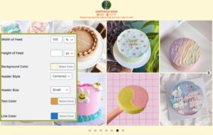 Smash Balloon Review: Is This Social Feed Plugin Any Good?