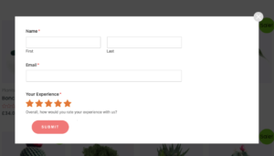 How to Add a Website Exit Survey | 2 Easy Ways to Get Feedback