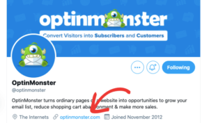 How to Make and Optimize a Twitter Landing Page - OptinMonster