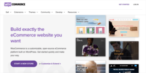 How to Write an Irresistible Value Proposition (+41 Examples)