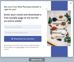 How To Build Your Etsy Email List (Tutorial + Examples)