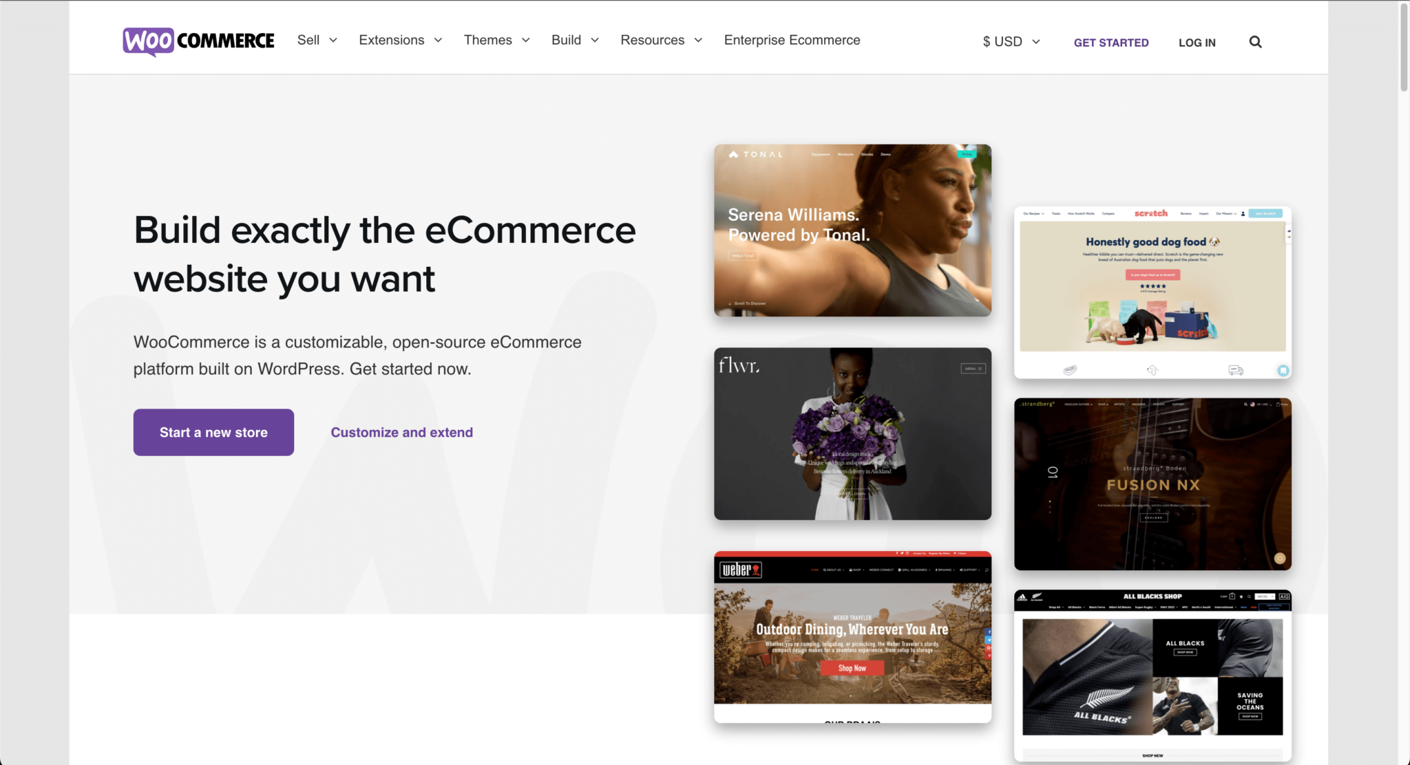 Best eCommerce Plugin for WordPress in 2025 (Top 5 Compared)