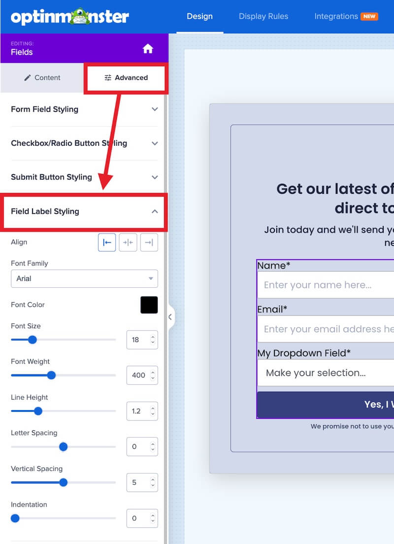 Field Mapping: How to Add Extra Fields to Your Campaign Form