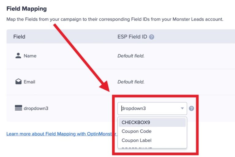 Field Mapping: How to Add Extra Fields to Your Campaign Form