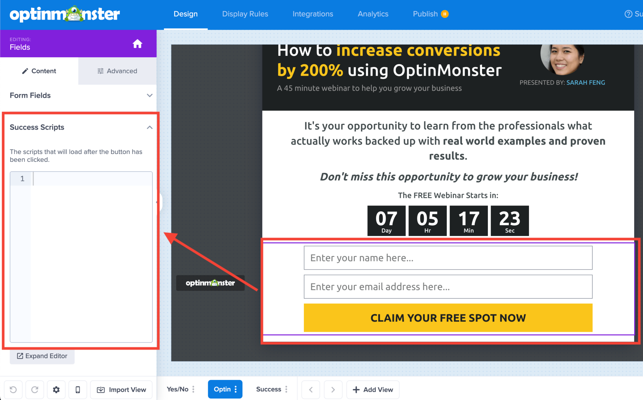 How to Use Success Triggered Scripts - OptinMonster